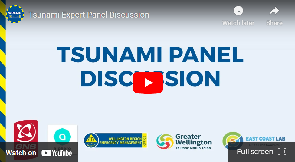 Tsunami Expert Panel Discussion
